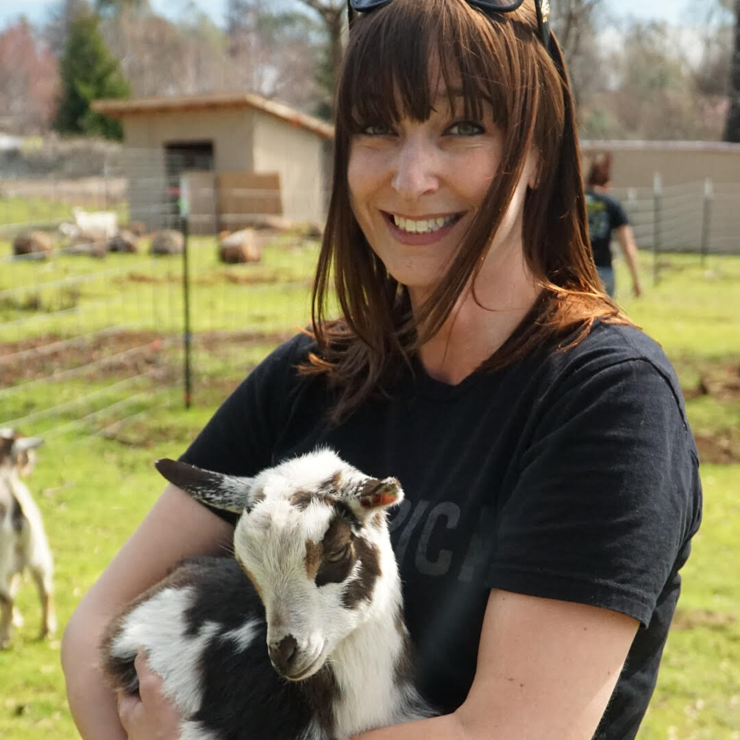 About - Friends of Front Street Shelter